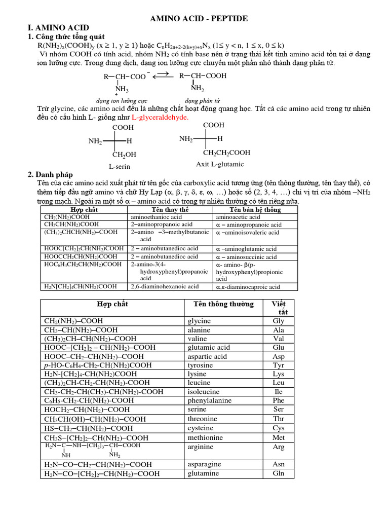 Amino Acid - Peptide-Protein | PDF