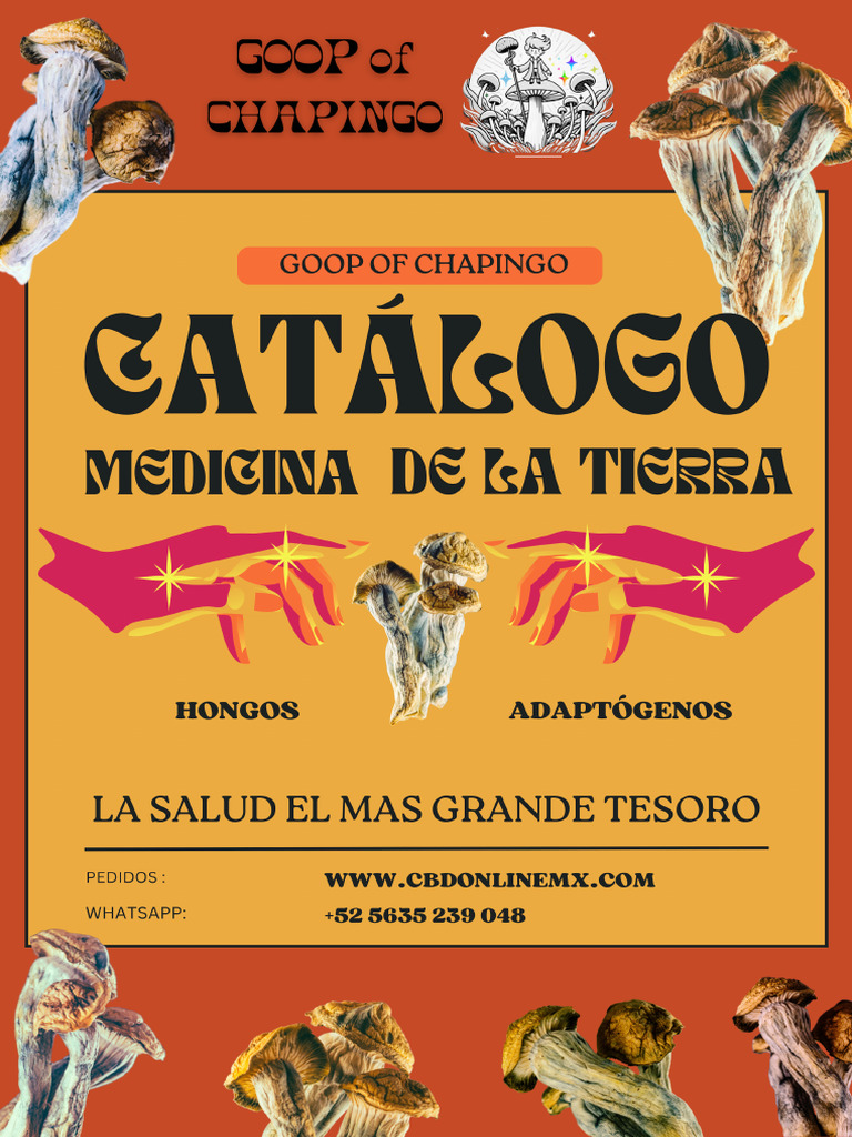 Goop of Chapingo - Catalogo - Espanol-1 | PDF