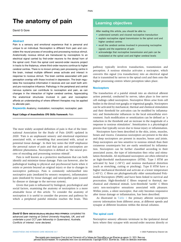 Anatomia Del Dolor 2022 | PDF | Pain | Stimulus (Physiology)