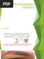 Flokort | PDF | Gravidez | Glaucoma