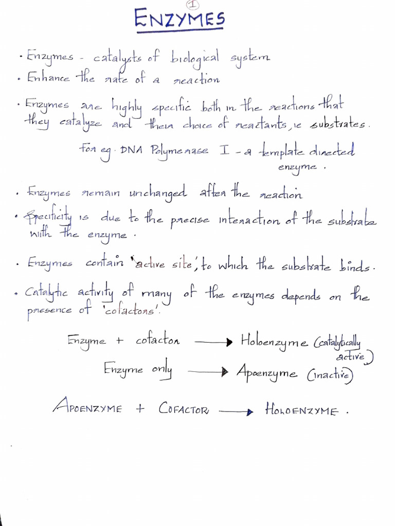 Enzymes | PDF