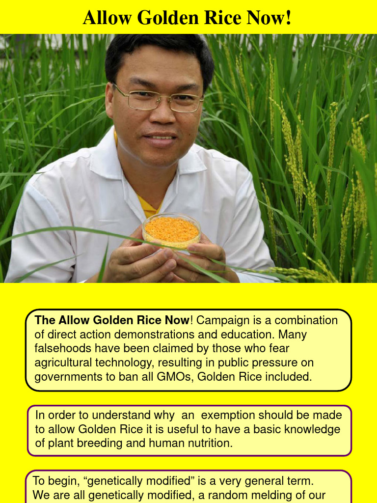 Support for Golden Rice Initiative | PDF | Technology & Engineering