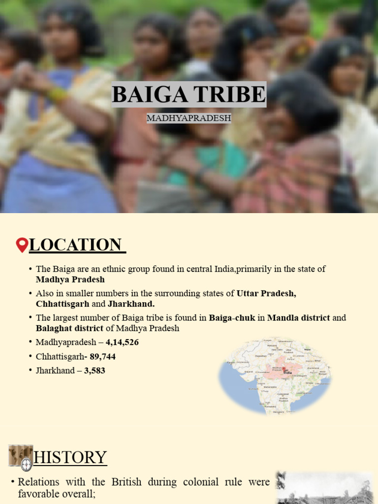 Baiga Tribe PPT | PDF | Home & Garden