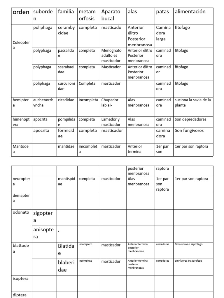 clasificacion de los insectos de la caja entomologica (3) | PDF ...