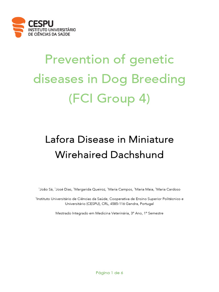 Prevention of Genetic Diseases in Dog Breeding | PDF | Dachshund | Dogs