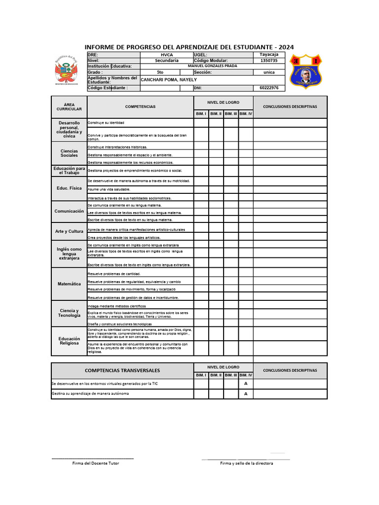 Informe de Progreso 2024 | PDF | Aprendizaje
