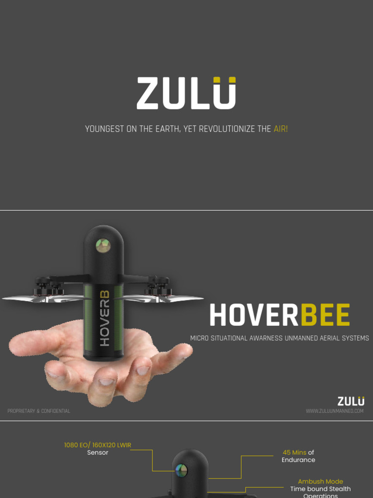 Zulu Hoverbee | PDF