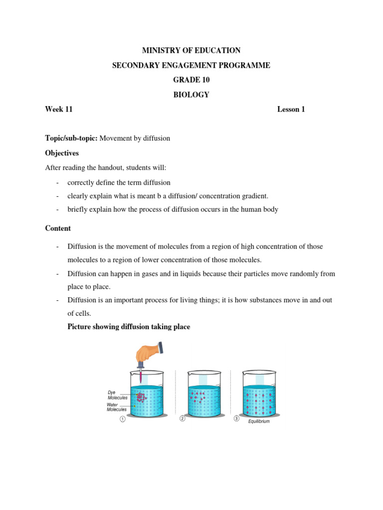 Bio - Diffusion | PDF | Diffusion | Blood