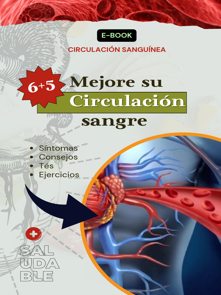 Mejora tu Circulación Sanguínea | PDF | Té | Té verde