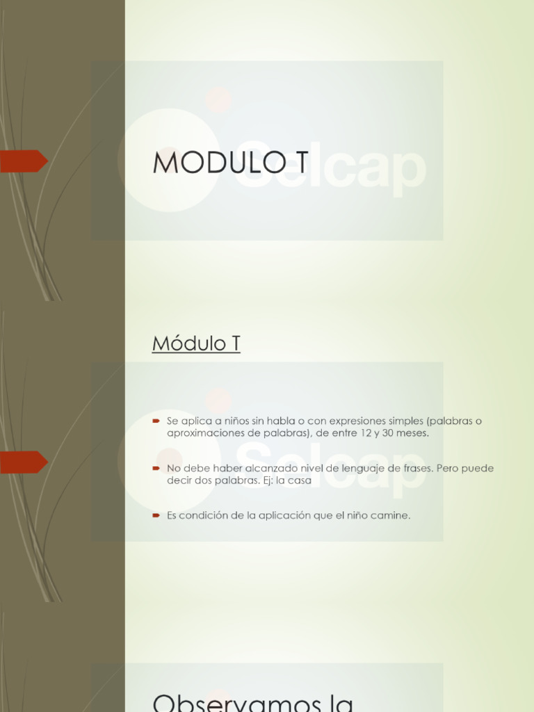 DIAPOSITIVAS ADOS-2 Módulo T | PDF