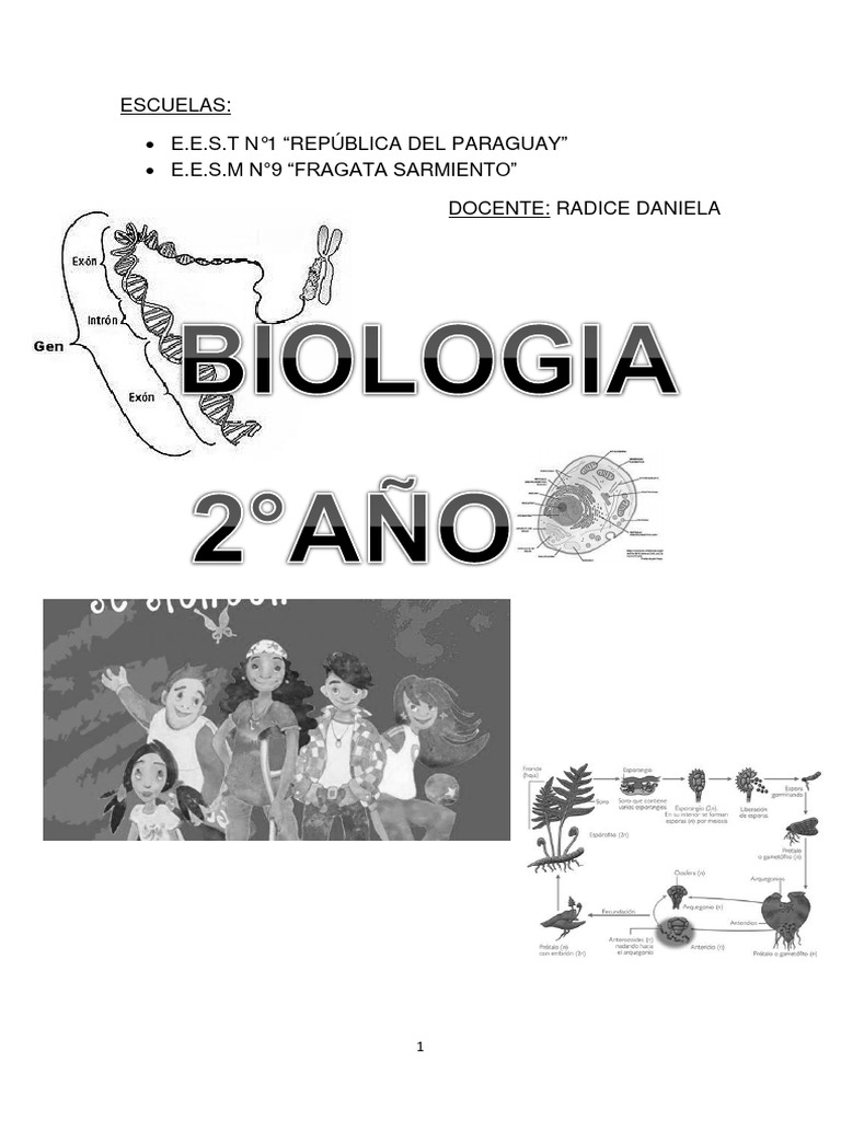 E.E.S.T N-1 y E.E.S.M N-9 - BIOLOG-A - Prof. RADICE - Daniela - Organized | PDF | Organismos ...