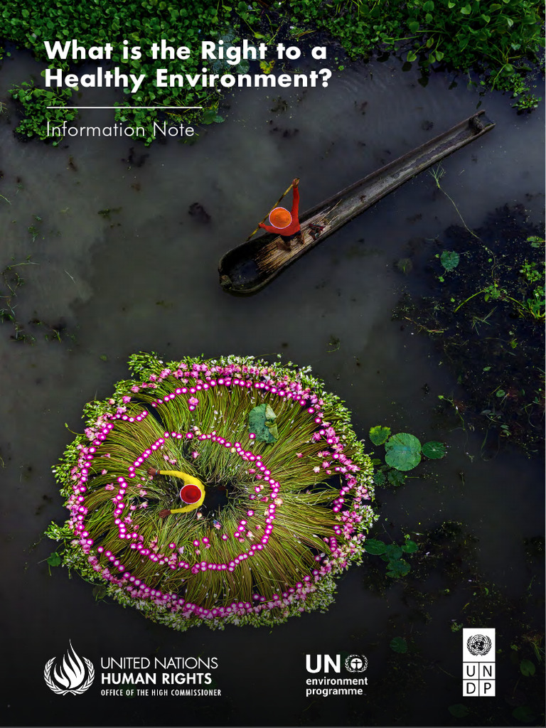 UNDP UNEP UNHCHR What Is The Right To A Healthy Environment | PDF ...