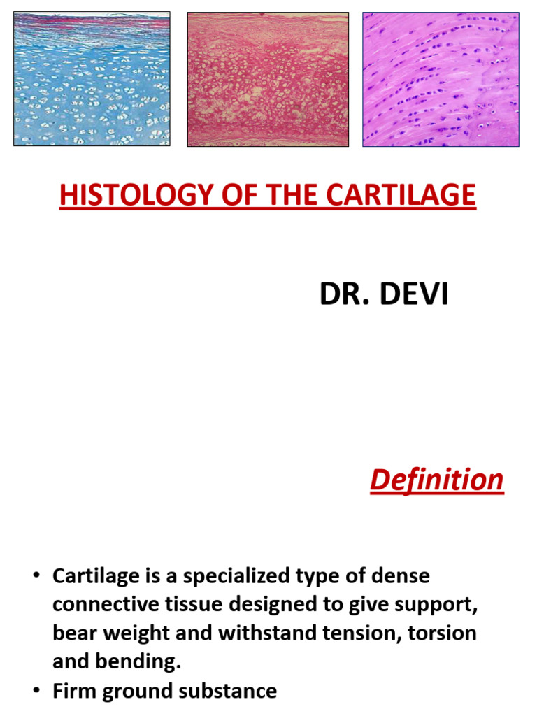 Cartilagedr 190528154146 | PDF | Cartilage | Extracellular Matrix