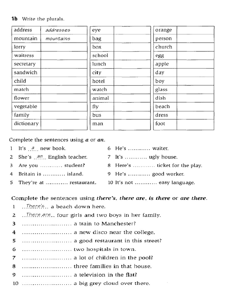 English Worksheet | PDF
