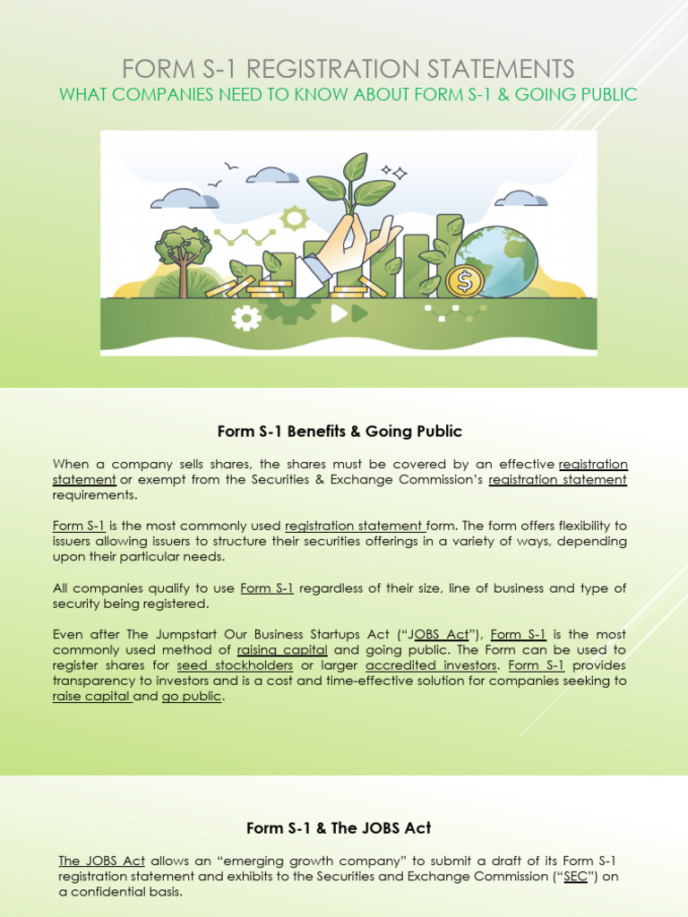 Understanding Form S-1 for Going Public | PDF | Initial Public Offering ...