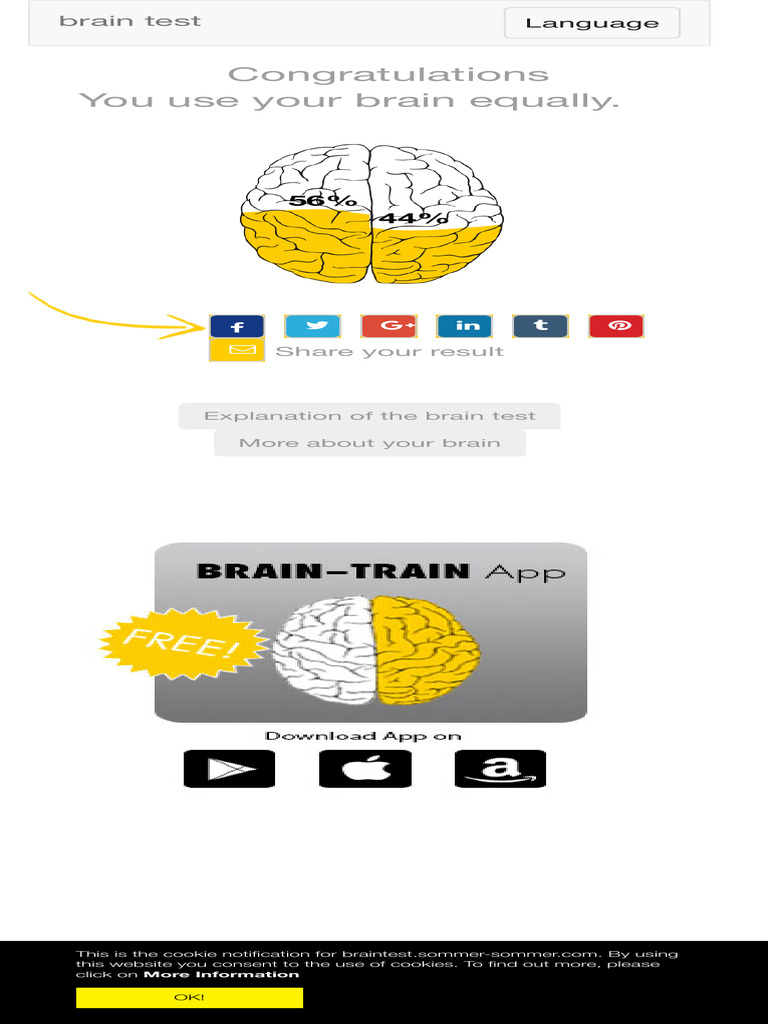 Right-Brained Left-Brained Take The Brain Test! | PDF