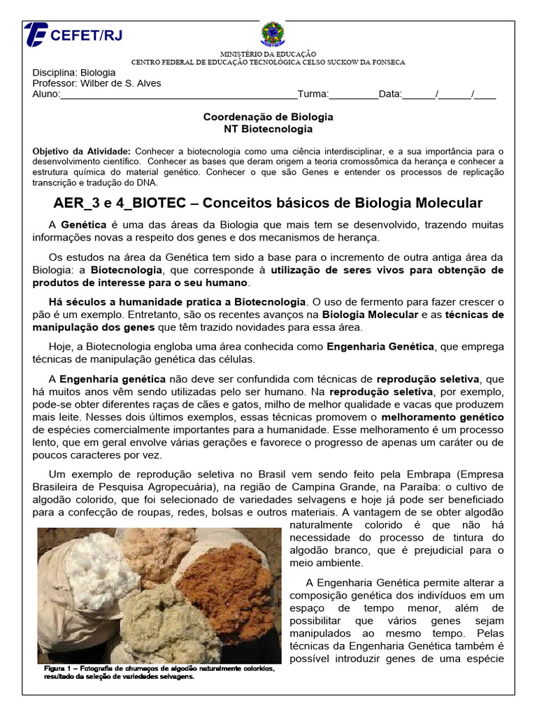 AER_3 e 4_BIOTEC - Conceitos básicos de Biologia Molecular | PDF | RNA | Gene