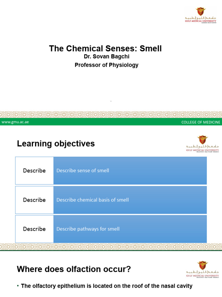 The Chemical Senses-Smell | PDF | Olfactory System | Senses