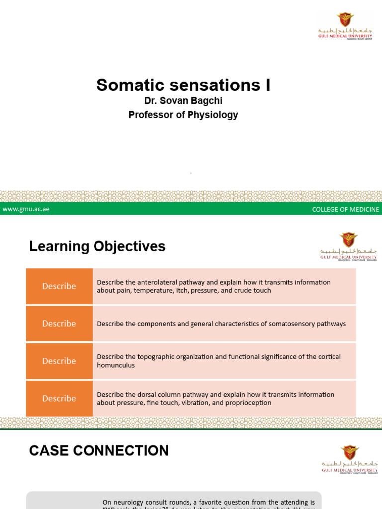 Somatic Sensations I | PDF | Somatosensory System | Brain