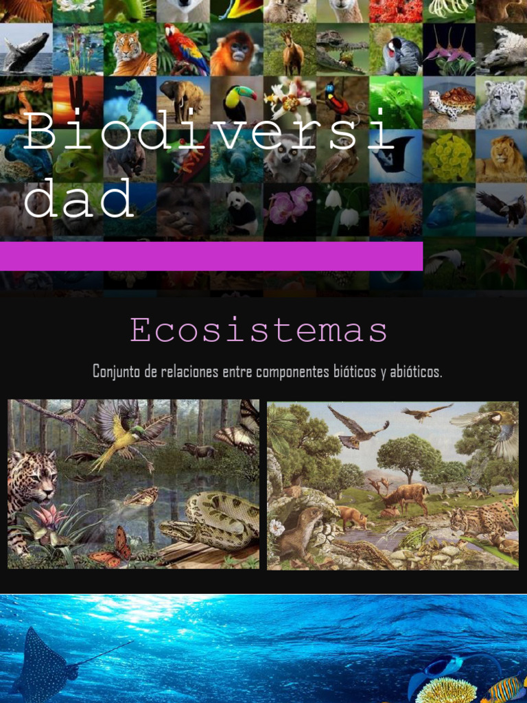 Bio Divers I Dad | PDF | Ecosistema | Clima templado