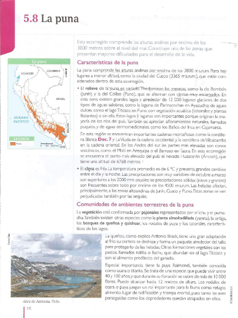 3° Grado. Sesión 07. La Puna. La Selva Alta. La Selva Baja | PDF