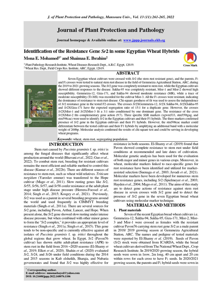 JPPP - Volume 13 - Issue 11 - Pages 261-265 | PDF | Agarose Gel Electrophoresis | Wheat