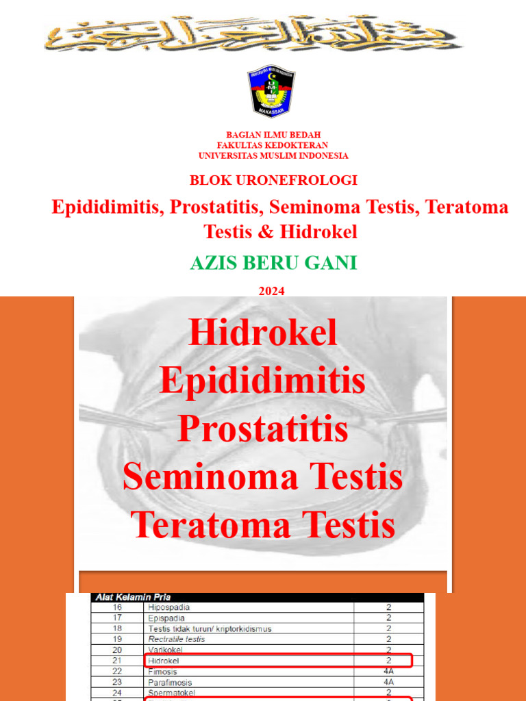 Diskusi Kuliah Epididimitis, Prostatitis, Seminoma, Teratoma & Hidrokel 2024 | PDF | Kesehatan ...