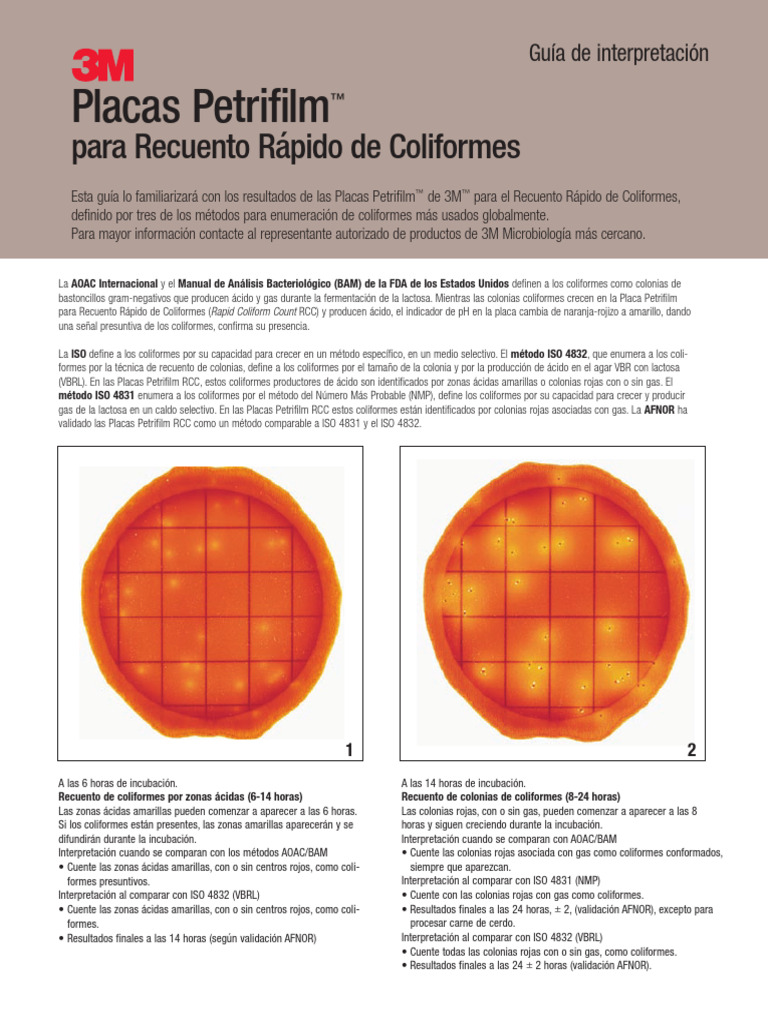 Guia Recuento de Coliformes | PDF | Yogur | Microbiología