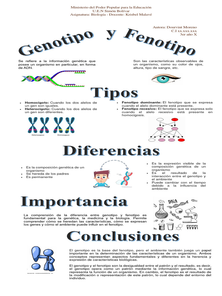 Diferencias entre genotipo y fenotipo | PDF | Dominancia (Genética ...