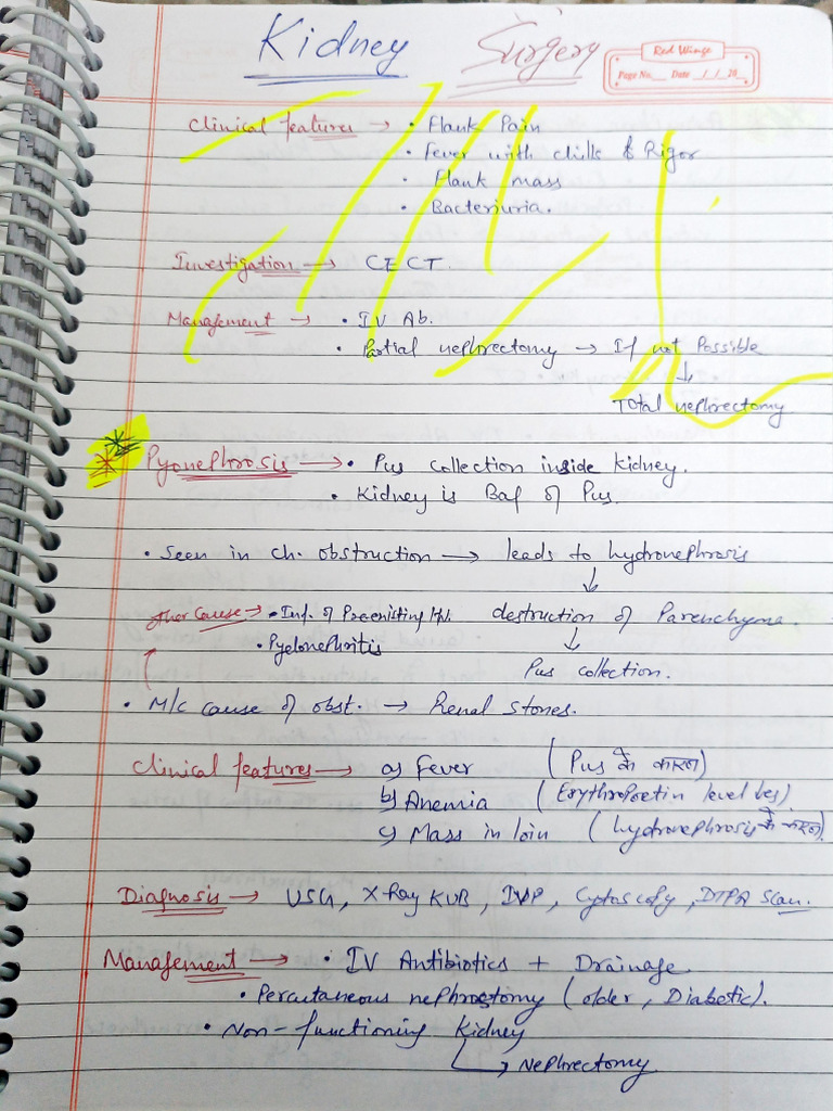 SX - Urology | PDF