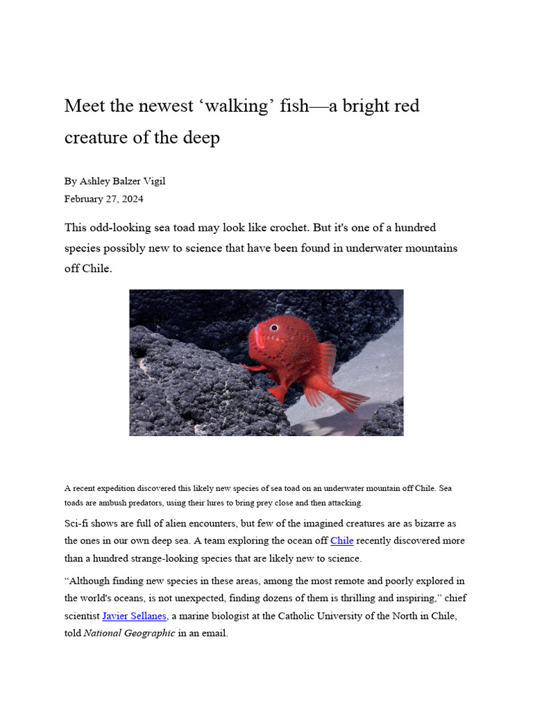 National Geographic (Article) - Meet The Newest Walking' Fish | PDF ...