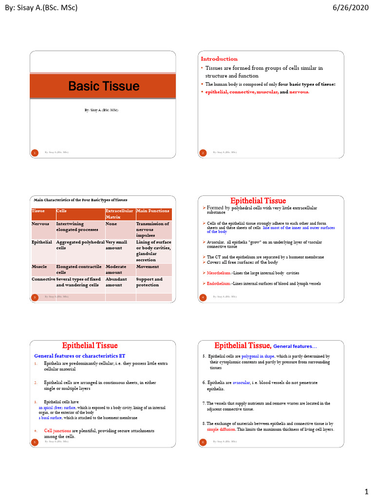 Basic Tissues For MD | PDF | Epithelium | Tissue (Biology)