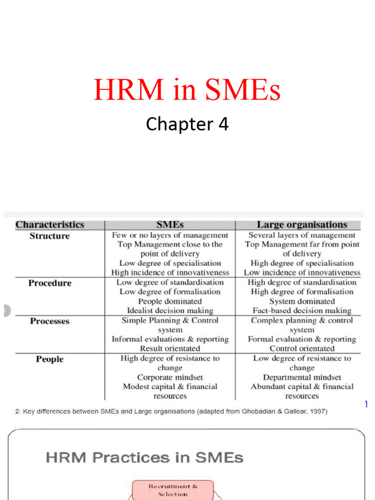 Hrm In Smes Service Pdf Human Resource Management Labour Economics