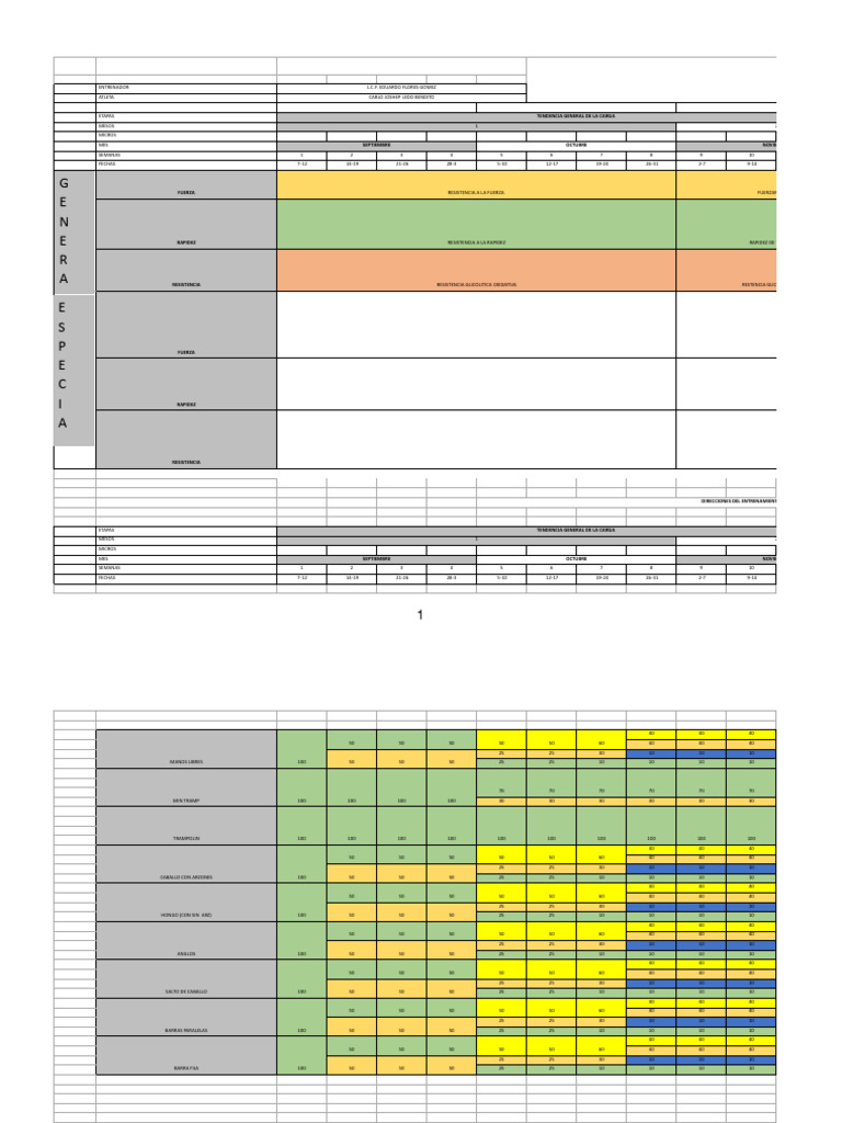 Plan de Entrenamiento Macrociclo Entrenador. Eduardo Flores Gomez 2023-2024 | PDF