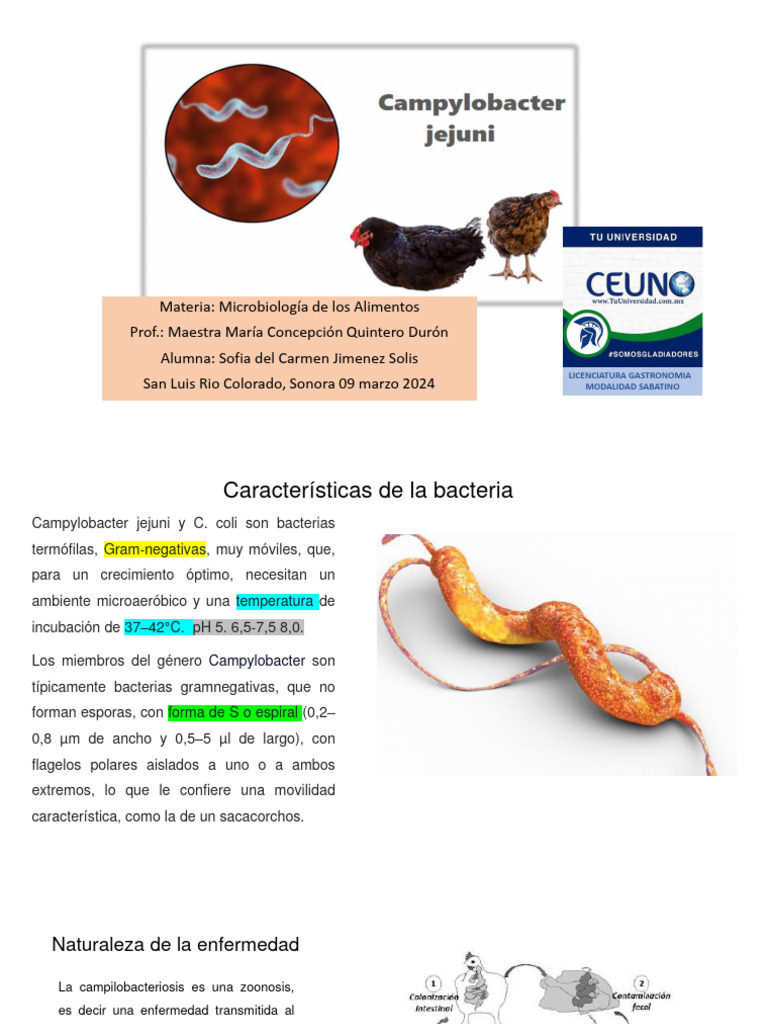 Seguridad Alimentaria: Campylobacter | PDF | Enfermedades y trastornos ...