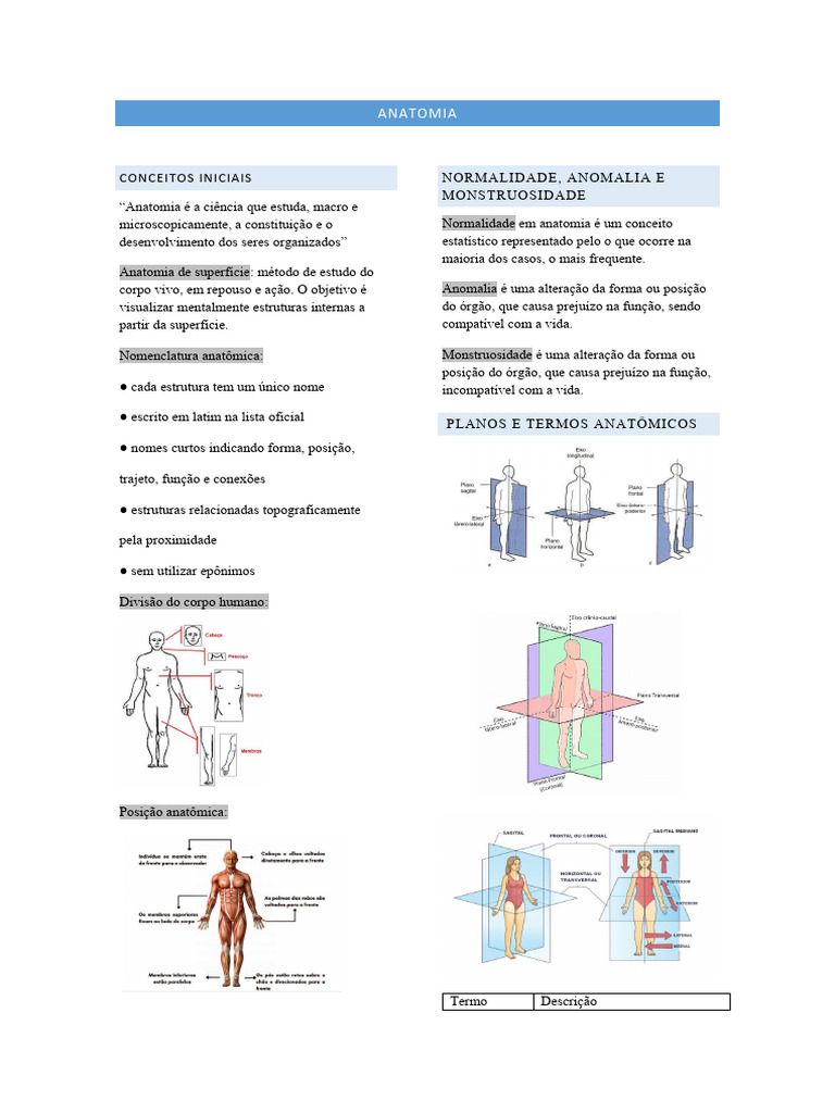 Anatomia | PDF | Anatomia | Corpo humano