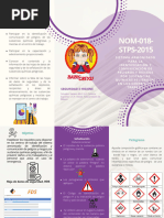 Norma NOM 018 | PDF