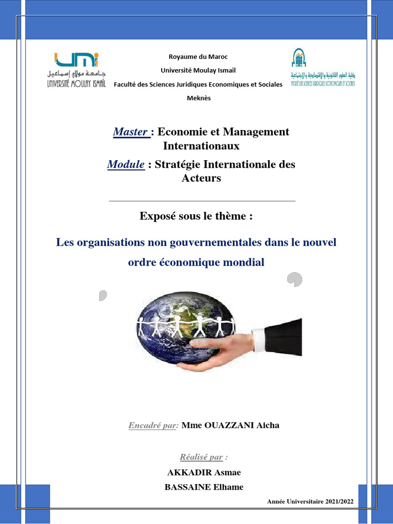 ONG et Nouvel Ordre Économique Mondial | PDF | Organisation non ...