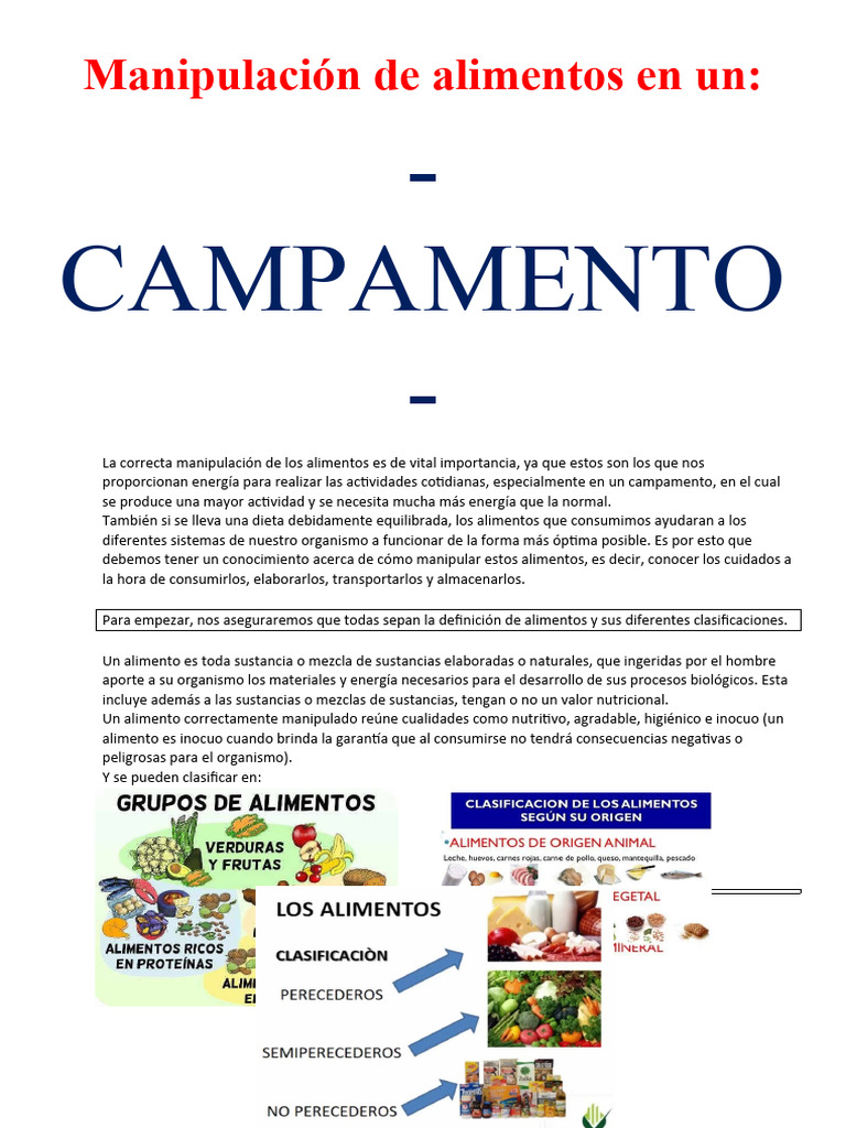 Manipulación de Alimentos en Campamentos | PDF | Alimentos | Gusto