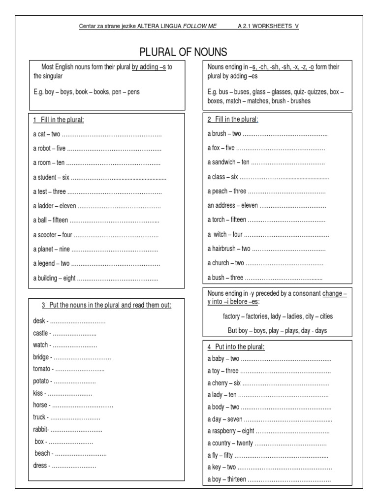6th Grade | PDF | Plural | Chicken