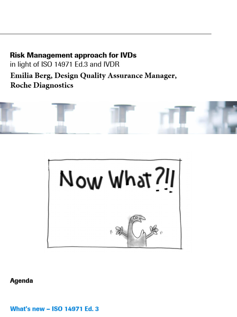 Emilia Berg - Risk Management Approach IVD at Roche | PDF | Risk ...