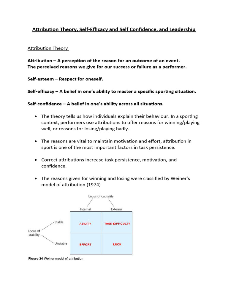 Attribution Theory | PDF | Self Efficacy | Leadership