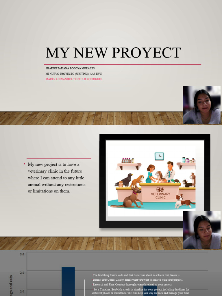 My New Proyect | PDF