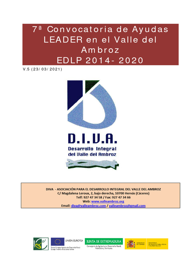 DIVA 7 Convoca LEADER v5 23-3-2021 DEFINI | PDF | Contabilidad ...