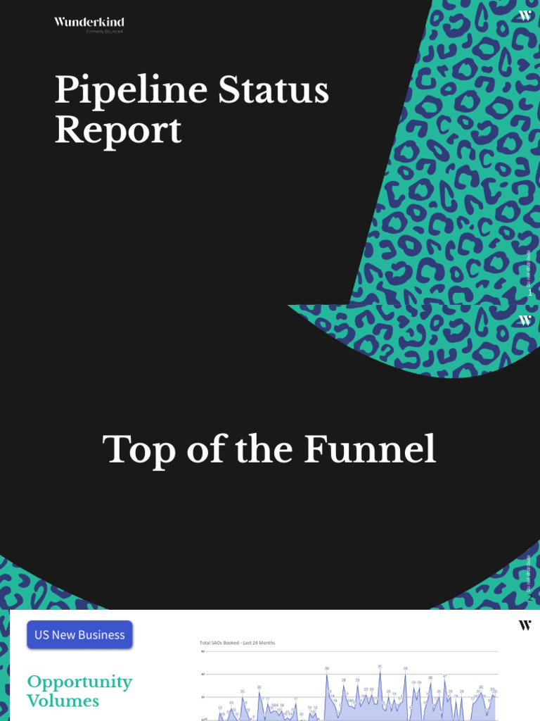 Sales Pipeline Insights | PDF