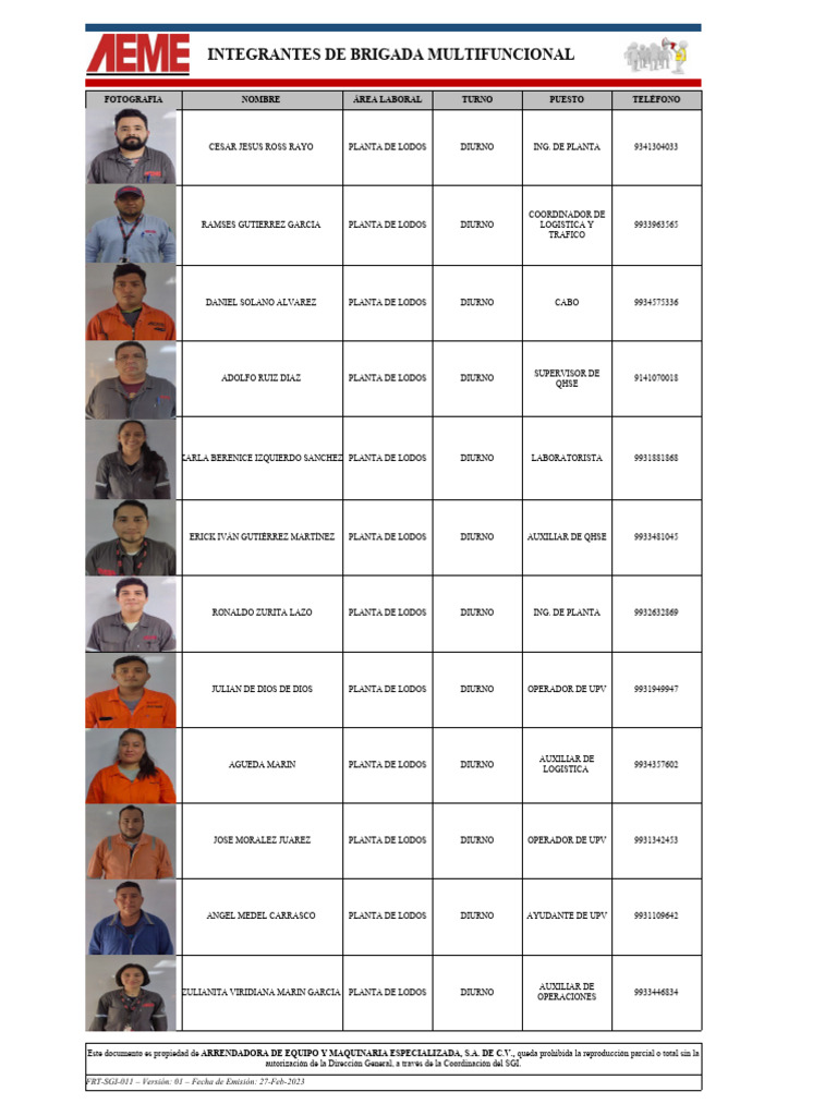 FRT-SST-123 Integrantes de Brigada Multifuncional V01 SDFDF | PDF