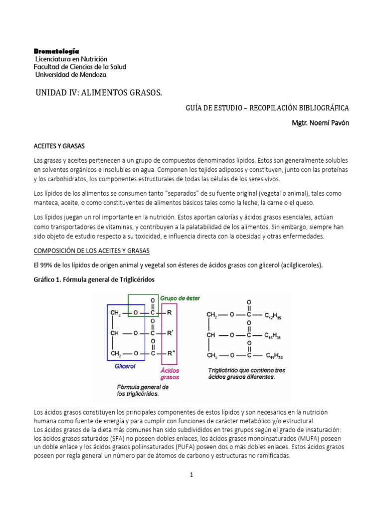 Httpsvirtual - Um.edu - Arpluginfile.php105635mod resourcecontent2Unidad20IV.20Alimentos20grasos ...