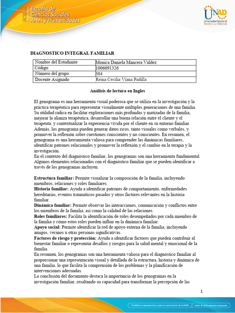 Anexo 2 - Formato Informe Diagnostico Familiar | PDF | Familia | Sicología