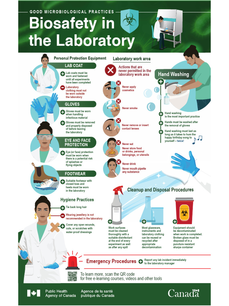 Biosafety in The Laboratory | PDF | Laboratories | Hygiene