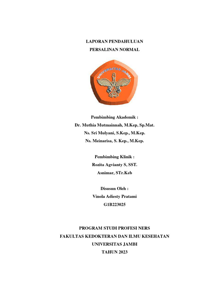 LP Persalinan Normal | PDF | Kesehatan Holistik